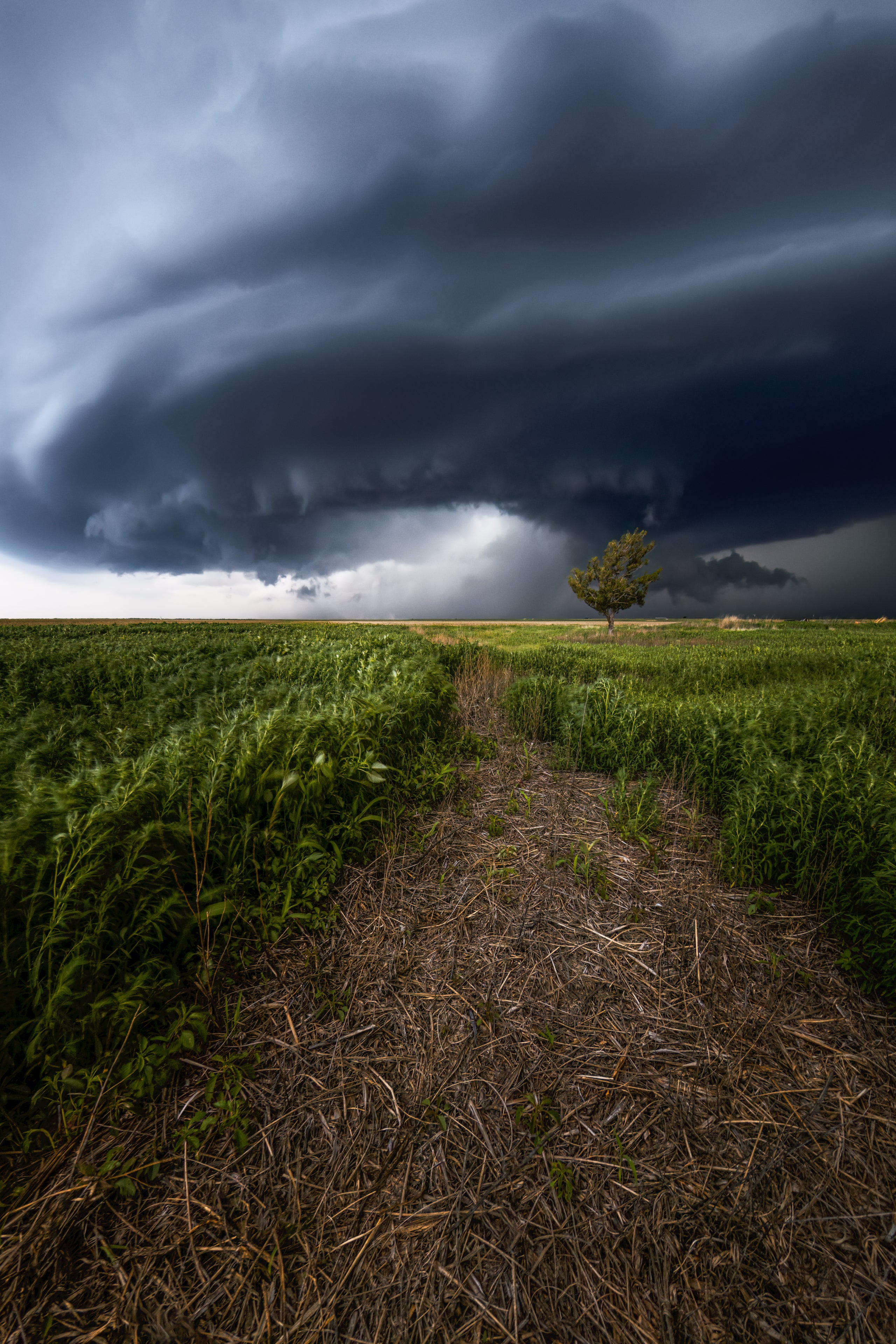 Workshop II: May 24-30, 2025 – Extreme Photo Workshops